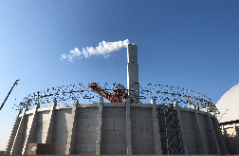 Dome Coal Storage System