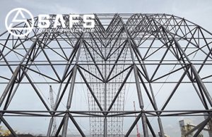 Design Considerations and Fundamental Differences Between Space Frames ...